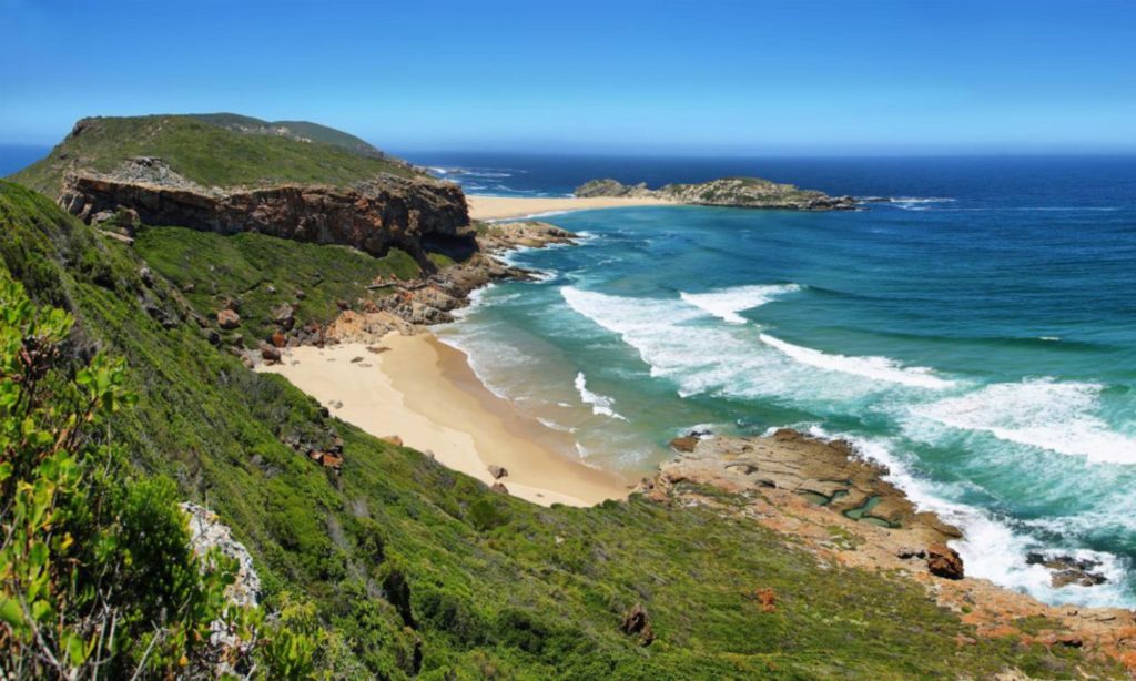 Bitou News - Plettenberg Bay Local News